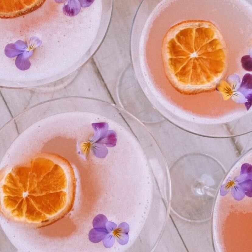 Dried Australian Orange Cocktail Garnish Pack – Isla Samsara